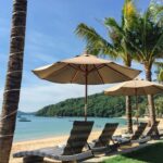 Lotus Rising Retreats – Lotus Rising Retreats