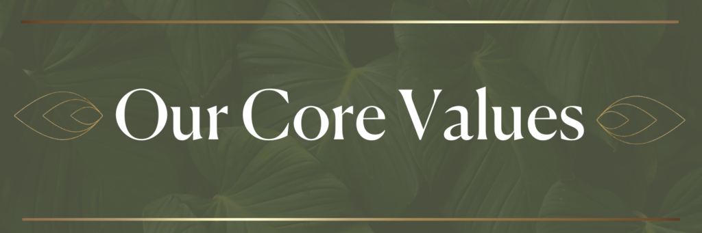 About – Lotus Rising